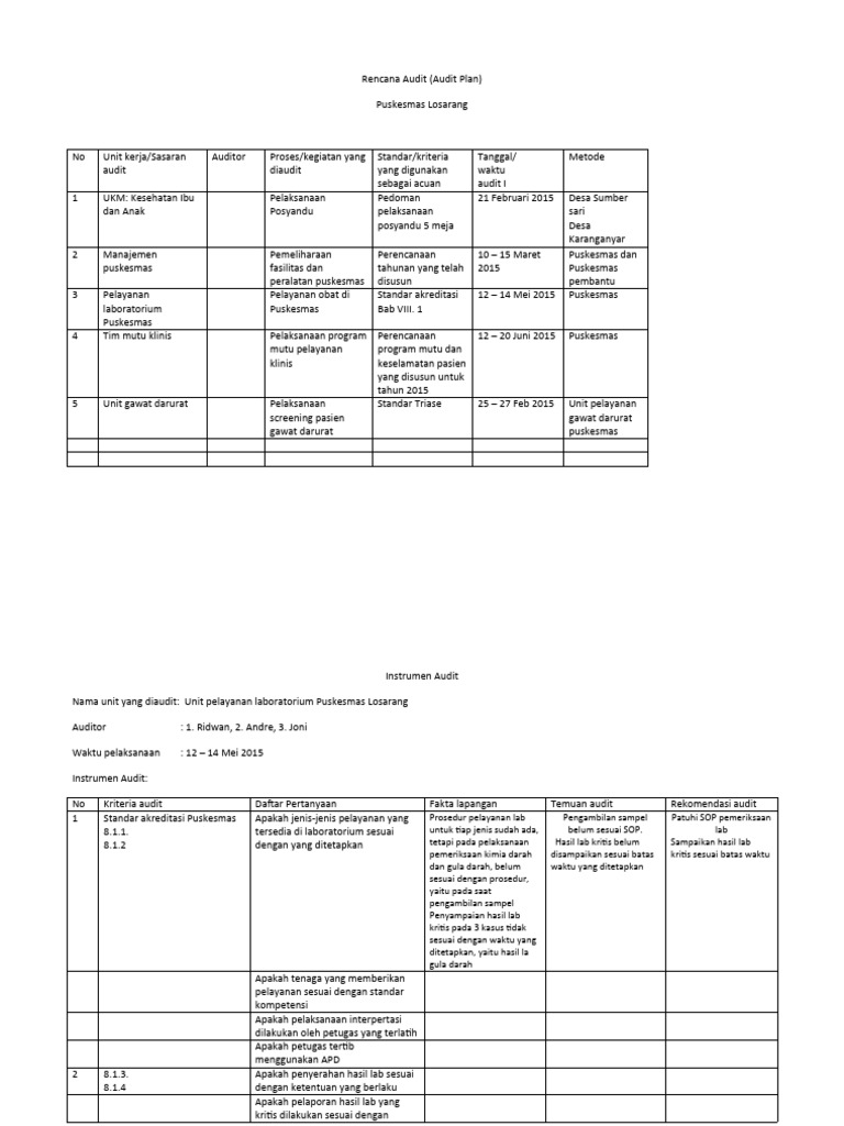 Contoh Audit Plan Dan Instrumen-Audit | PDF