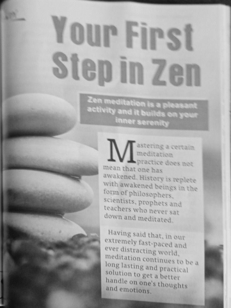 First Step in Zen - Overview | PDF