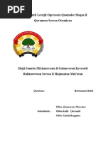 Qajeelfama Keessummeessa Qabiyyee Lafa Magaalaa Ragaa Hin Qabneefi | PDF