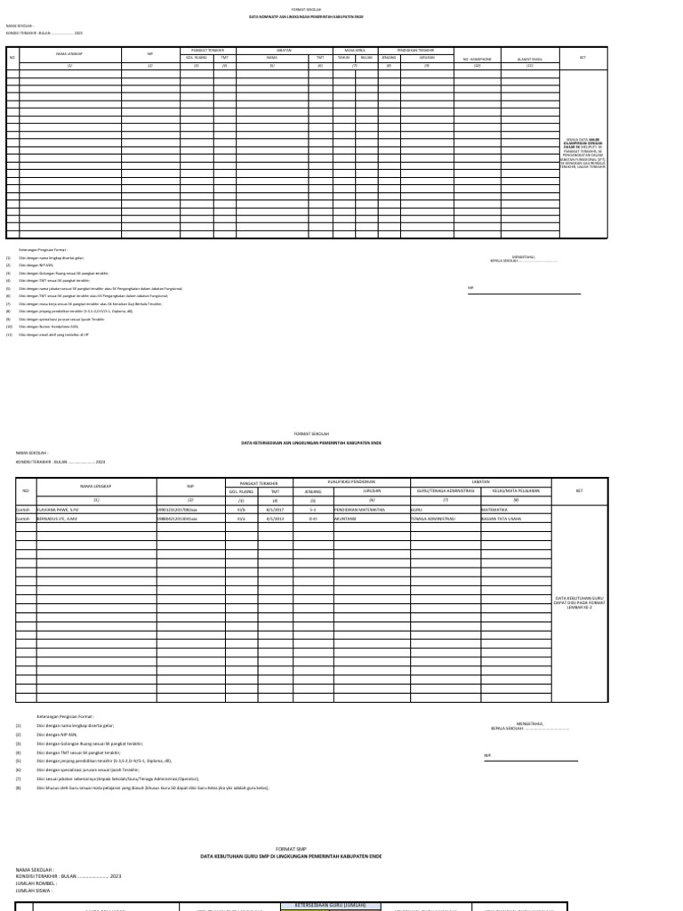 Format Data Asn Sekolah | PDF