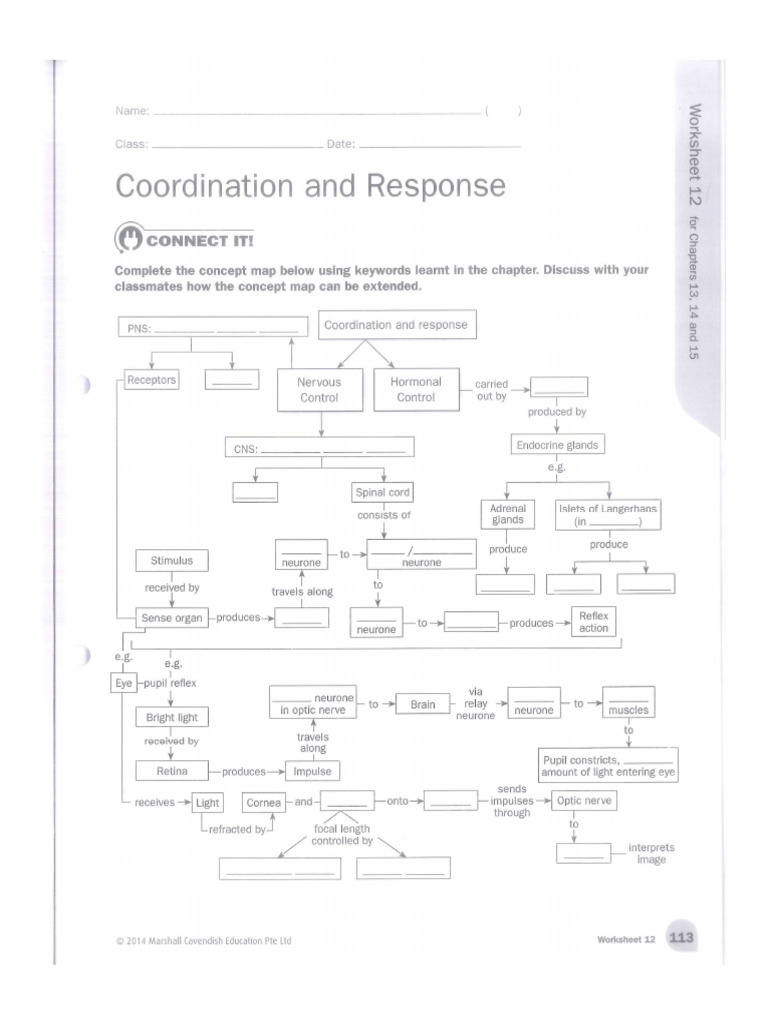 Coordination and Response | PDF
