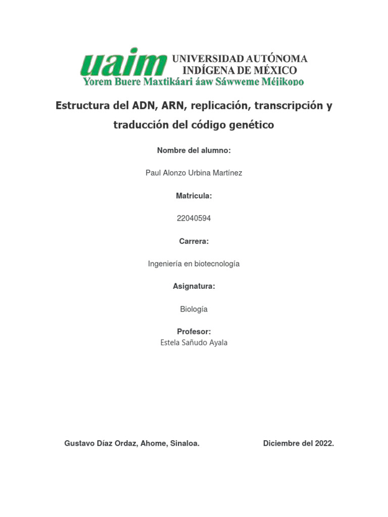 ADN y ARN | Descargar gratis PDF | Rna | Adn