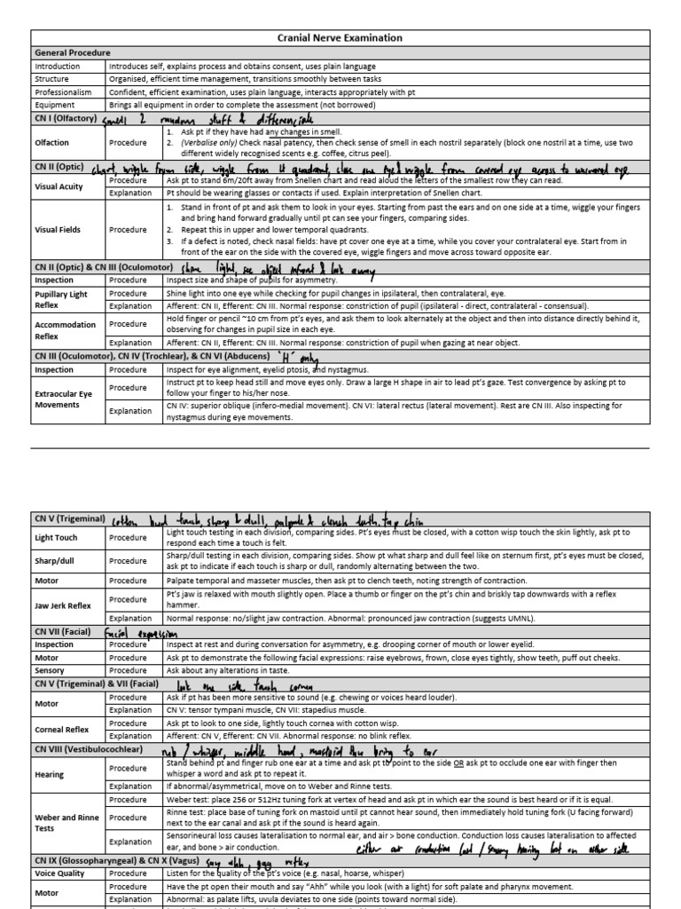Cranial Nerve VII Assessment Guide | PDF | Human Anatomy | Face