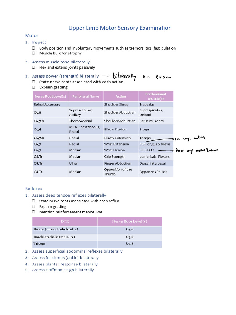 2 Summary UL Motor Sensory Exam | PDF