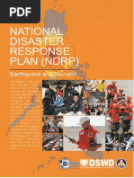 National Disaster Risk Reduction and Management Plan (NDRRMP) 2020 ...