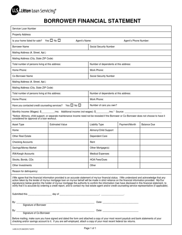 Borrower Financial Statement | PDF