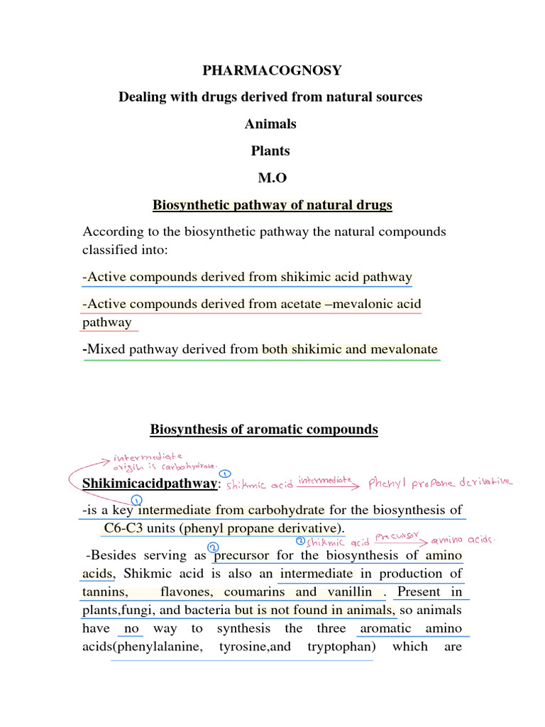 Natural Drug Biosynthesis Pathways | PDF | Biosynthesis | Metabolic Pathway