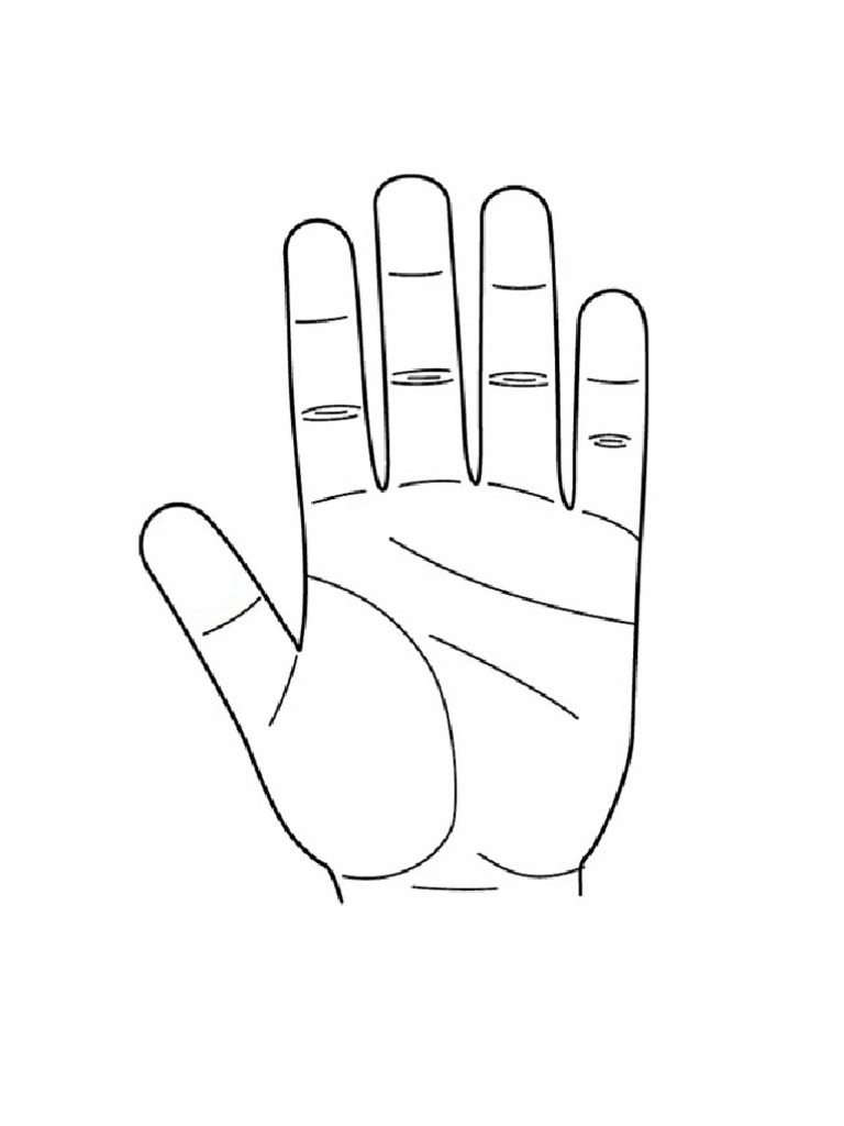 Hand | PDF