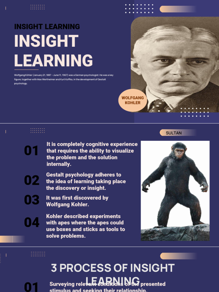 Gestalt Psychology and Insight Learning | PDF | Insight | Theory Of Mind