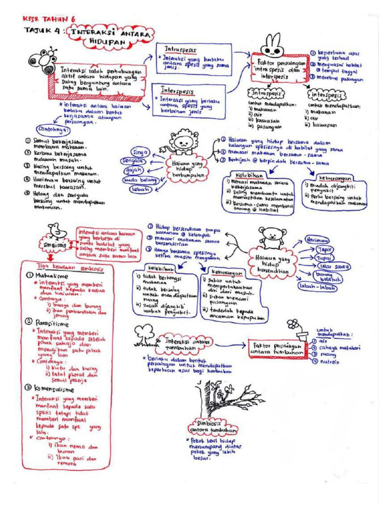 Nota Sains Tahun 6 | PDF