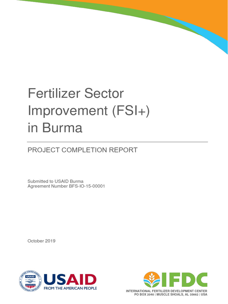 FSI Final Report | PDF