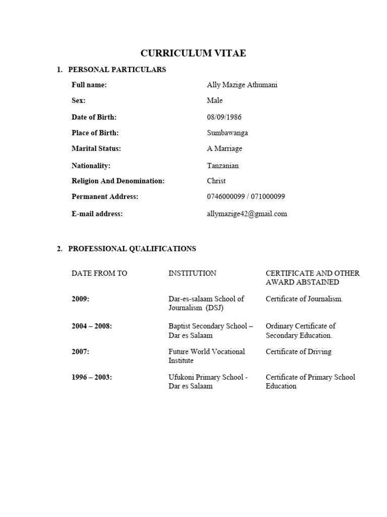 Ally Mazige CV | PDF