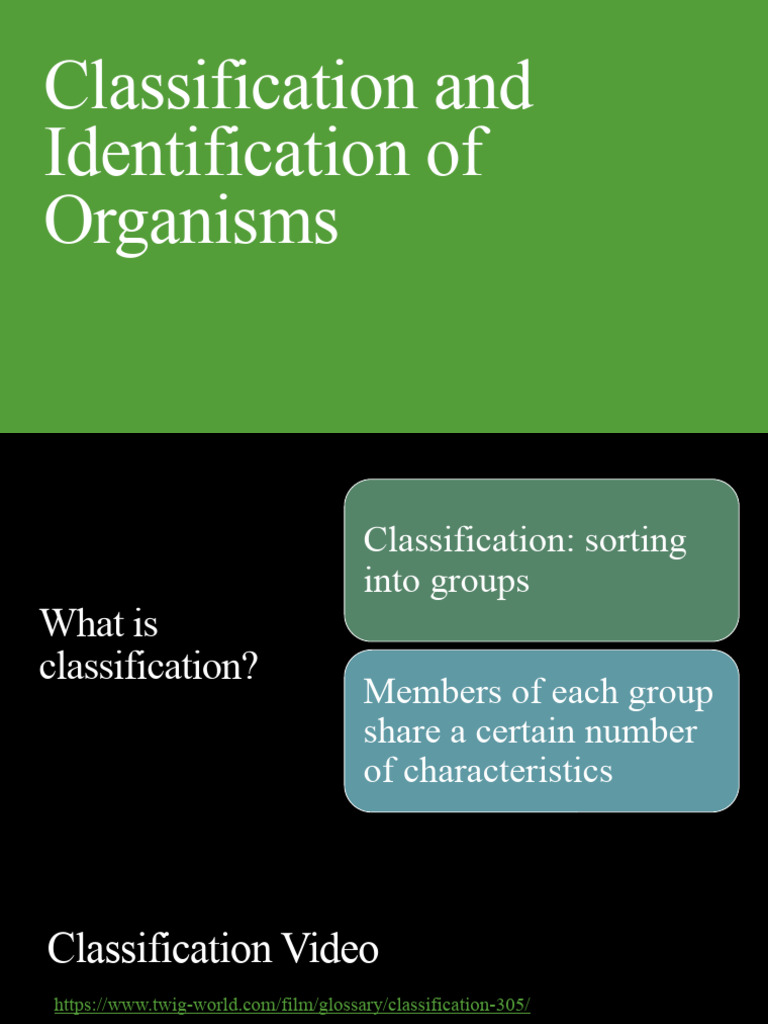 Classification | PDF | Foreign Language Studies | Science & Mathematics