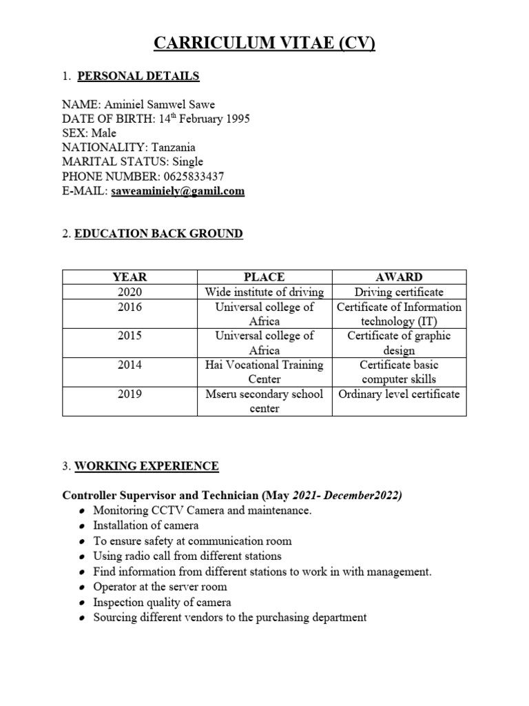 Aminiel (CV) | PDF | Computing