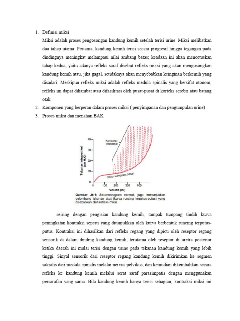 Proses Miksi dan Pengaruhnya | PDF | Kesehatan Holistik