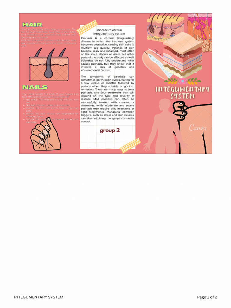 INTEGUMENTARY-SYSTEM | PDF