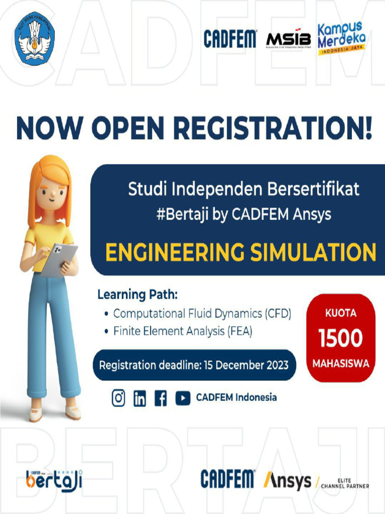 Msib 6 Bertaji by Cadfem Ansys | PDF