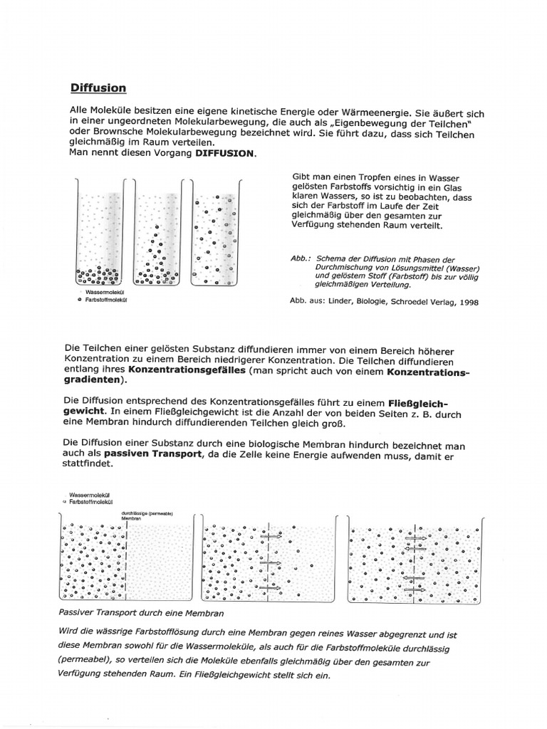 Diffusion und Osmose 2 | PDF