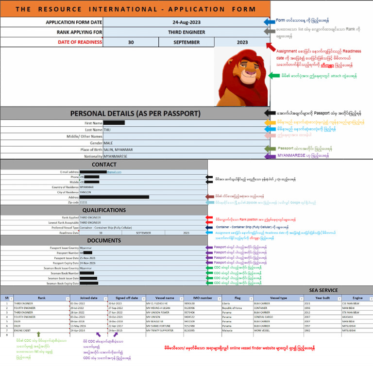 Instructions For Myanmar CV Form | PDF