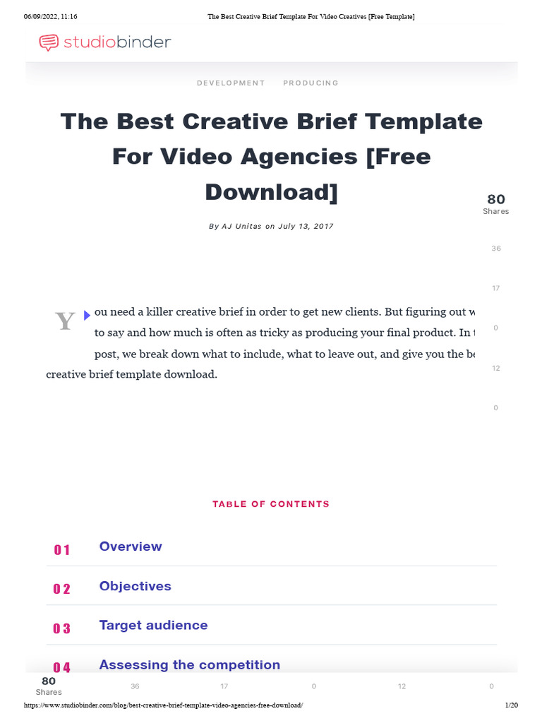 Creative Brief Template for Video Agencies | PDF | Target Audience ...