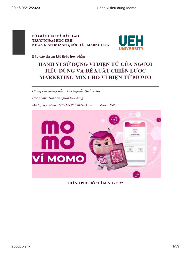 Hành Vi Tiêu Dùng Momo | PDF