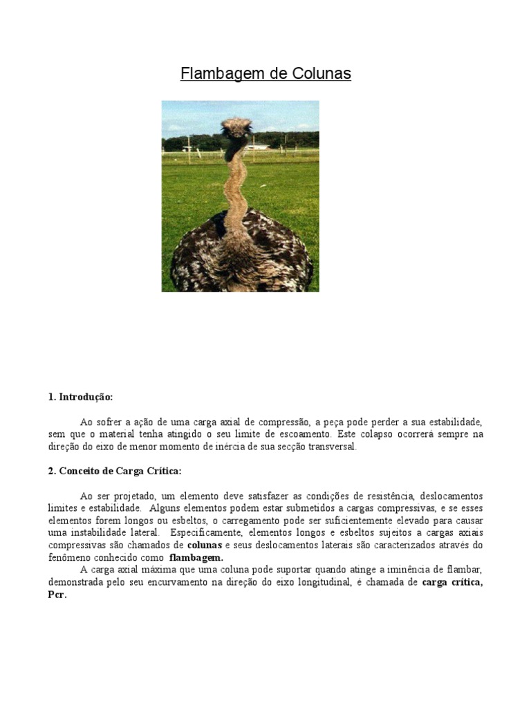 Análise da Flambagem de Colunas sob Carga Axial de Compressão | PDF ...