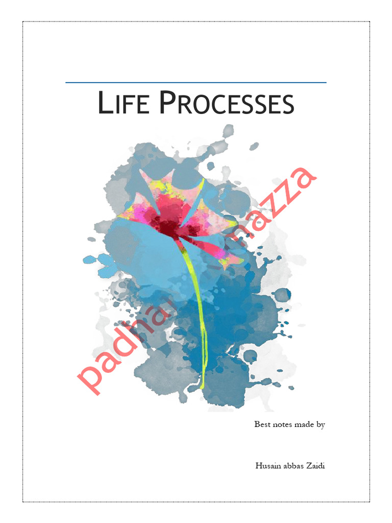 Understanding Life Processes and Nutrition | PDF | Cellular Respiration ...