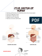 Blank 4 Panel Comic Strip | PDF | Biology | Digestive System