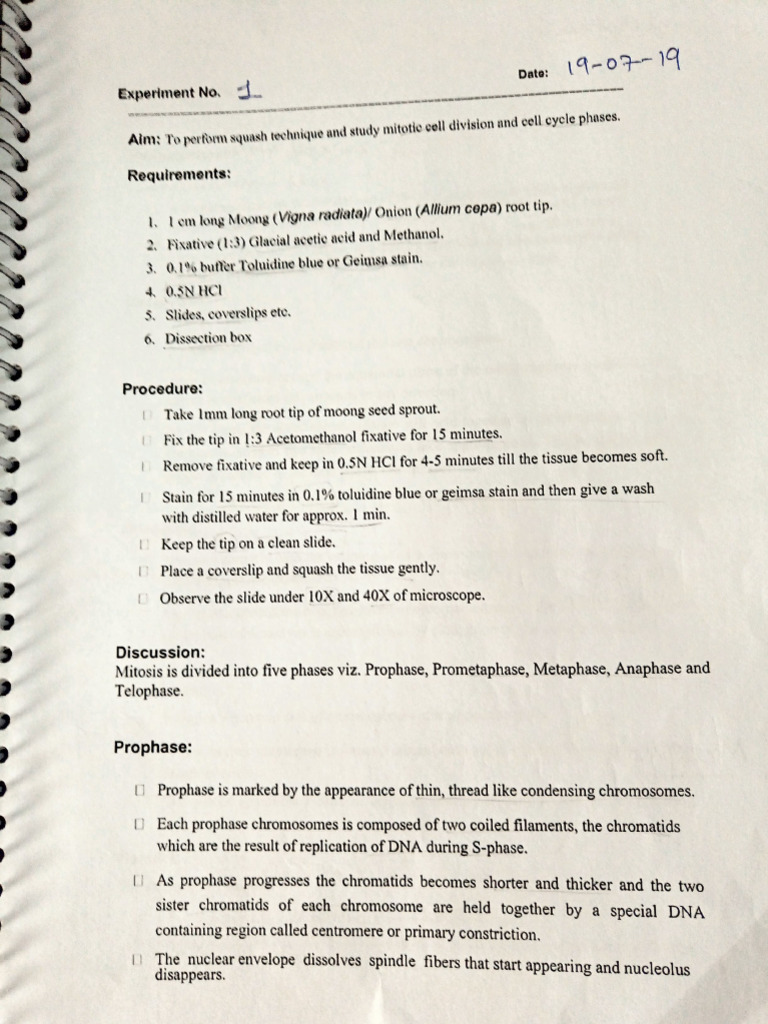 Cell Biology Practical | PDF | Mitosis | Genetics