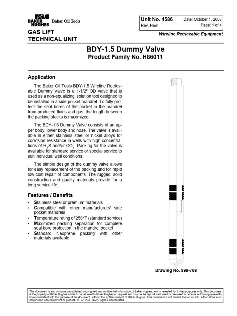 Dummy 1.5 | PDF | Pipe (Fluid Conveyance) | Valve