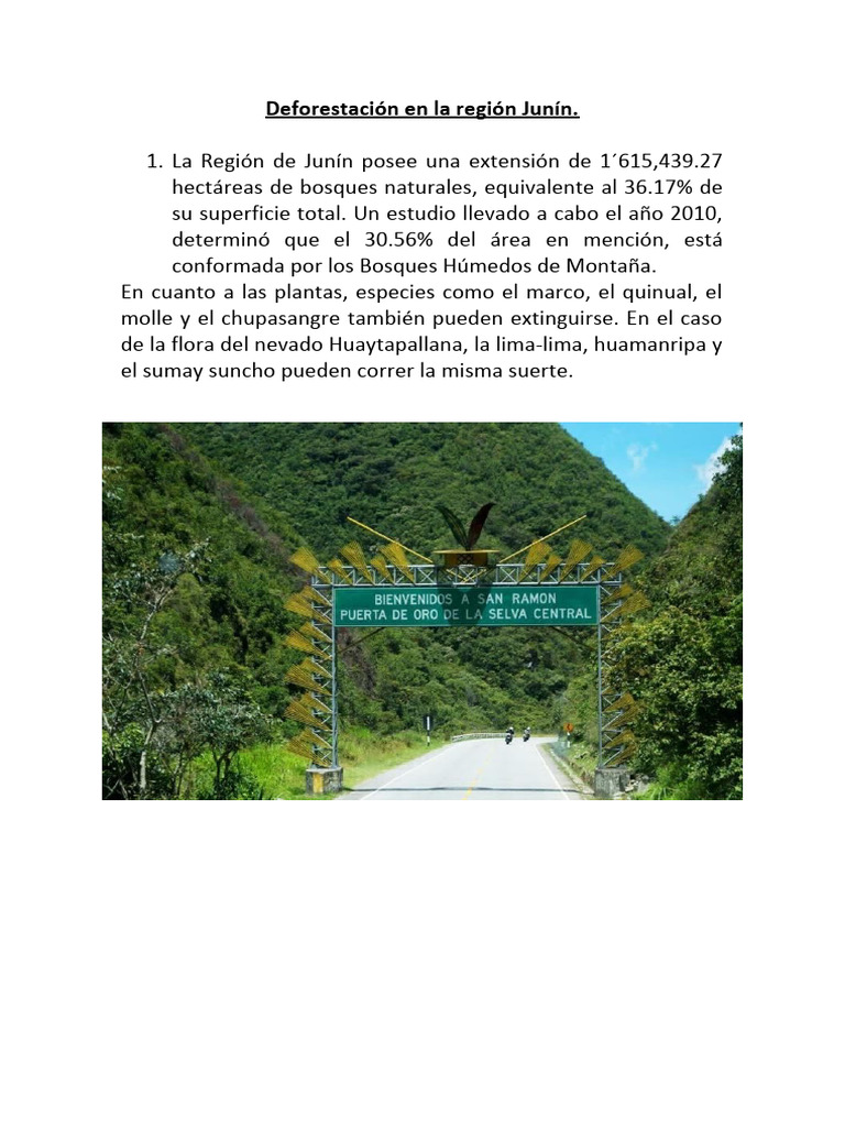 Prac 15 Ren | PDF | Deforestación | Agricultura