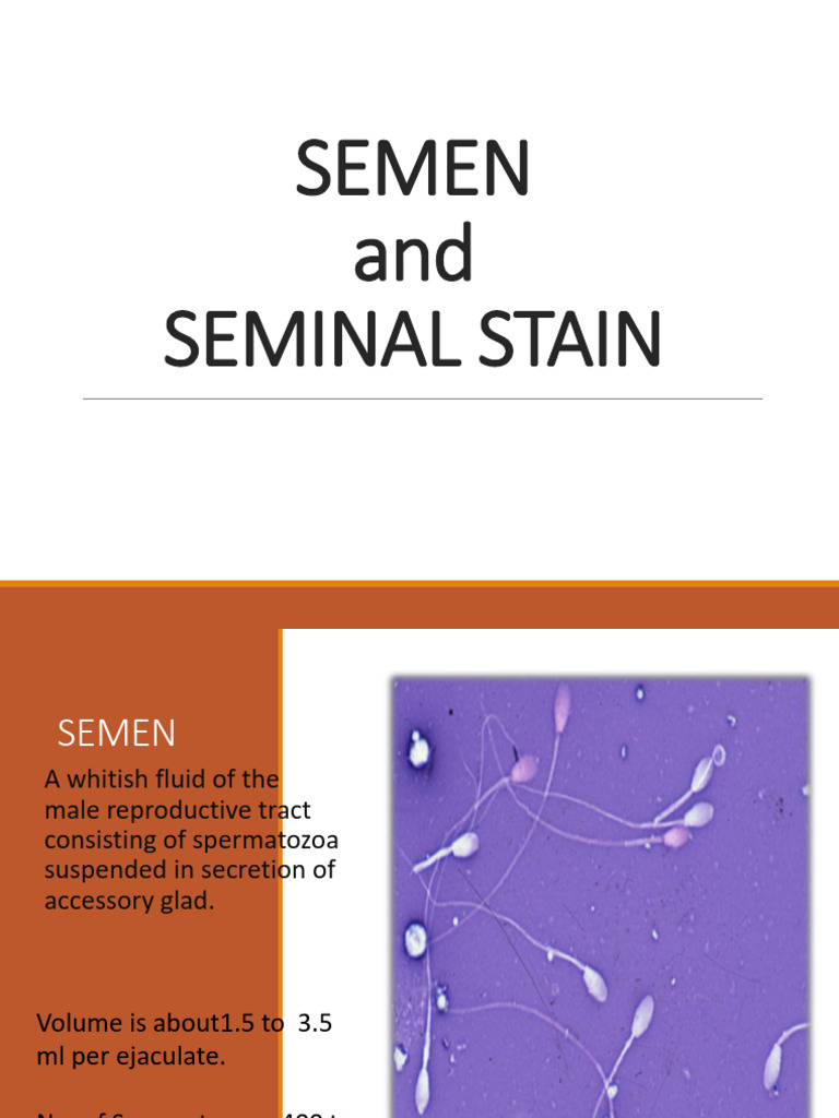 Forensic Analysis of Semen and Stains | PDF | Textiles | Wool