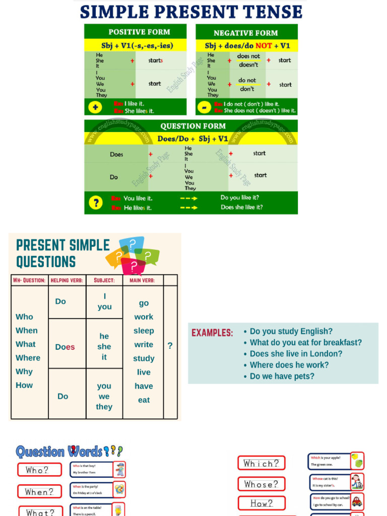 Class 7 - Simple Present - Questions | PDF