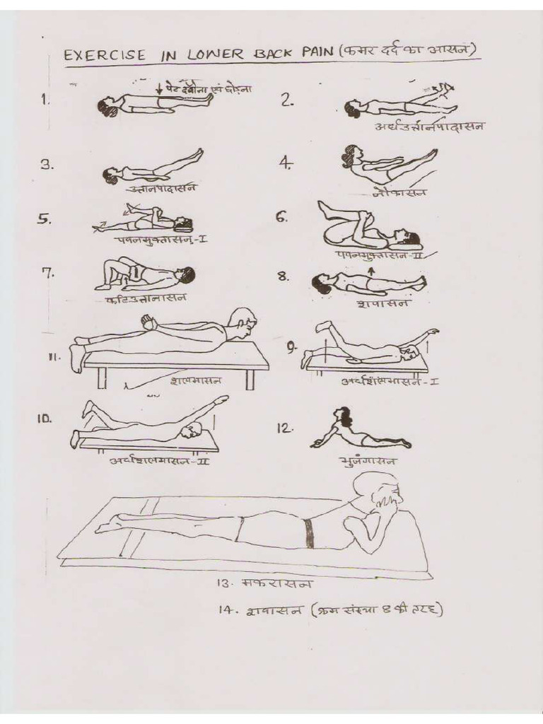 Lower Back Pain | PDF