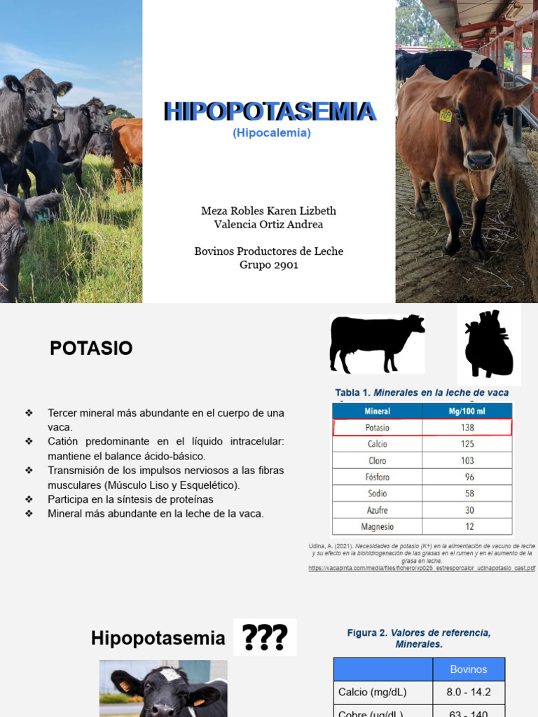 HIPOPOTASEMIA | PDF | Potasio | Química