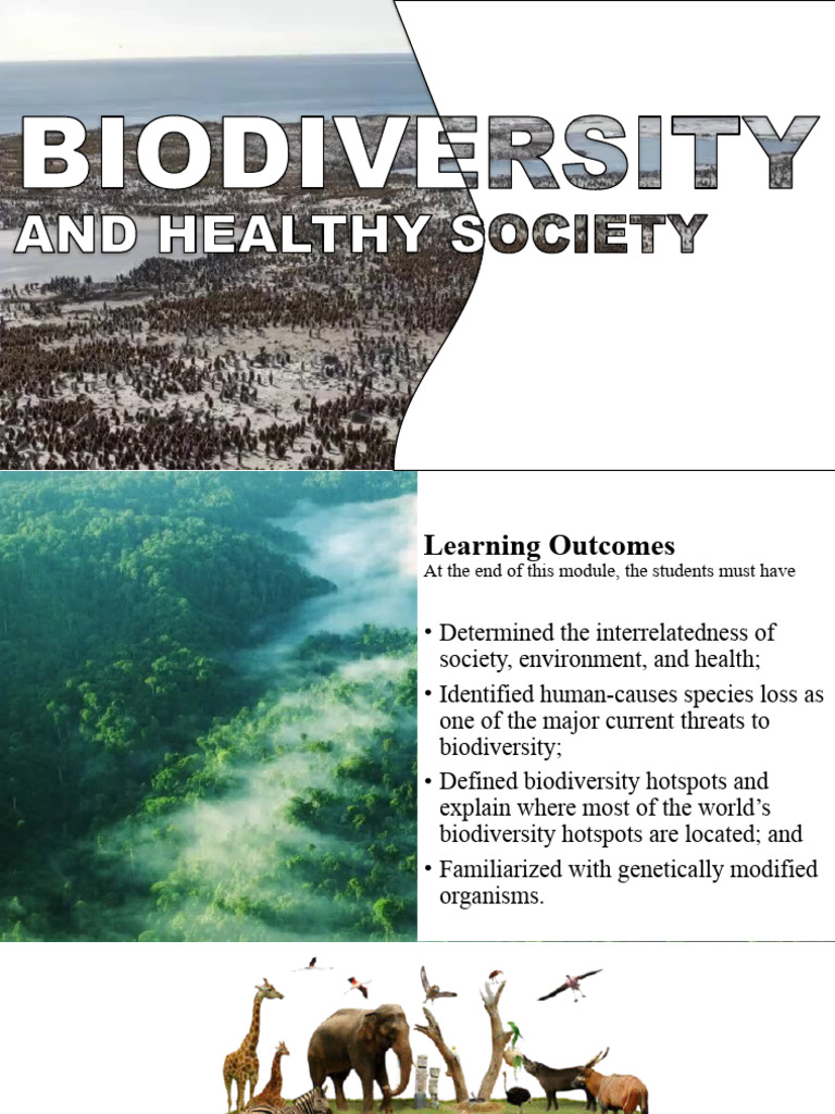 Module 11 | PDF | Biodiversity | Genetically Modified Organism