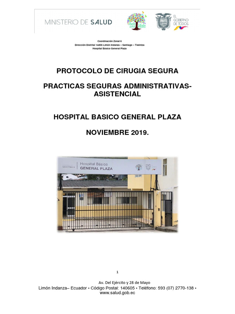 Protocolo De Cirugia Segura Pdf Cirugía Anestesia