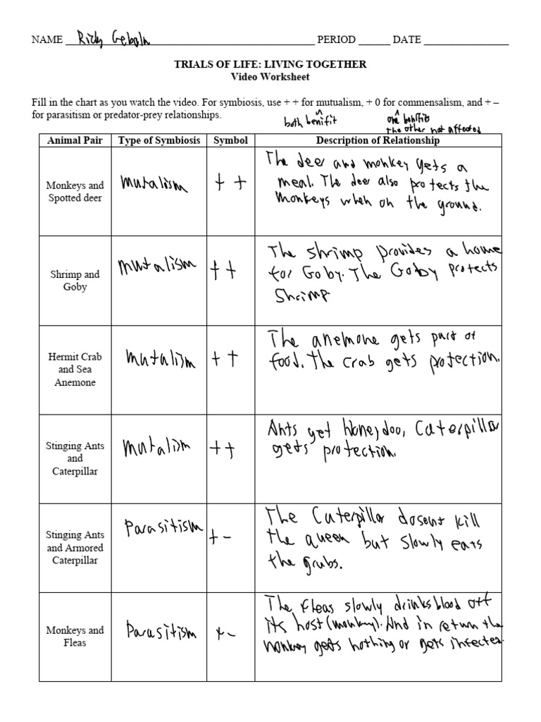 Trials of Life Video Worksheet | Download Free PDF | Parasitism | Symbiosis