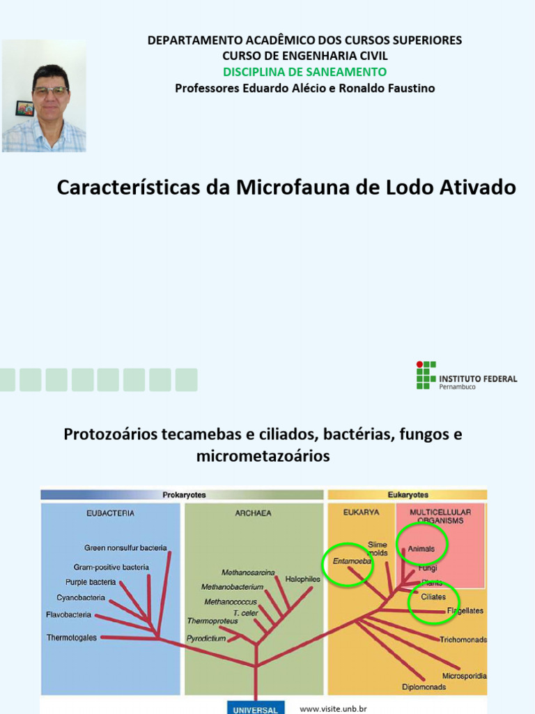 Características Da Microfauna de Lodo Ativado | PDF | Protozoários ...