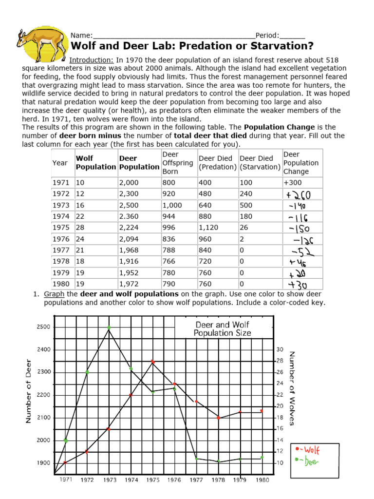 Wolf-Deer Population Dynamics 1971-1980 | PDF | Predation | Deer