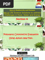 Msds PB (NO3) 2 | PDF | Personal Protective Equipment | Fires