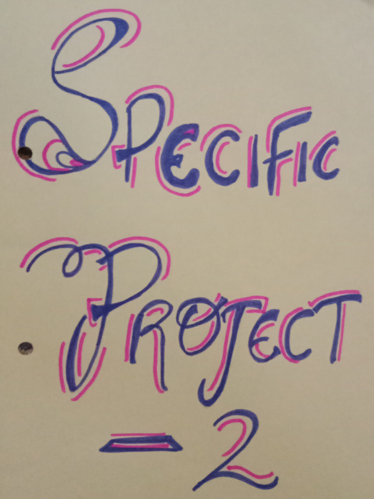 Specific Project 2 Accountancy | PDF | Equity (Finance) | Expense