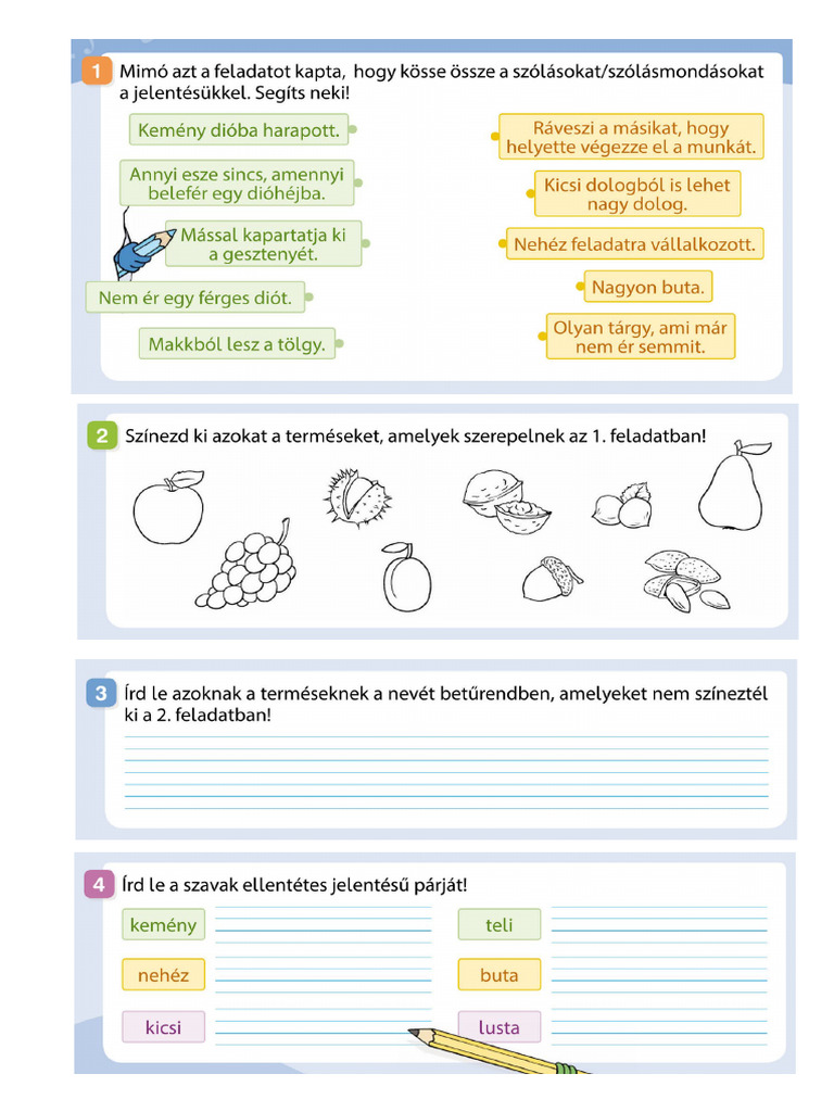 Nyári Feladatok 11 | PDF
