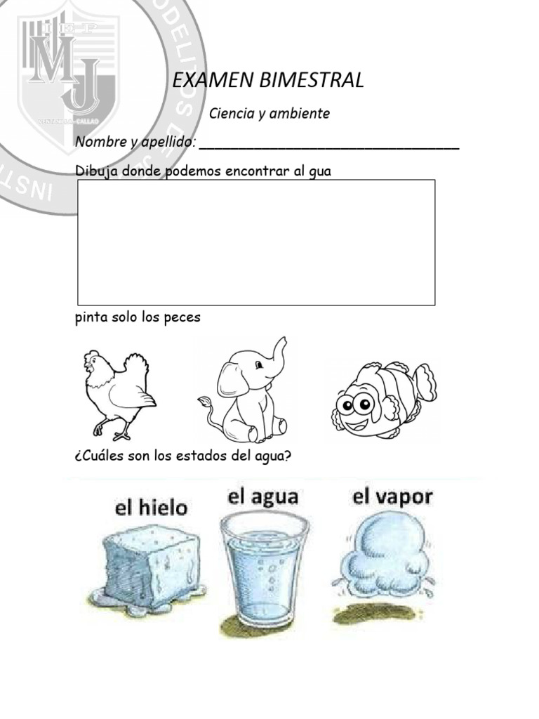 EXAMEN Final Ciencia Mañana3 Años | PDF