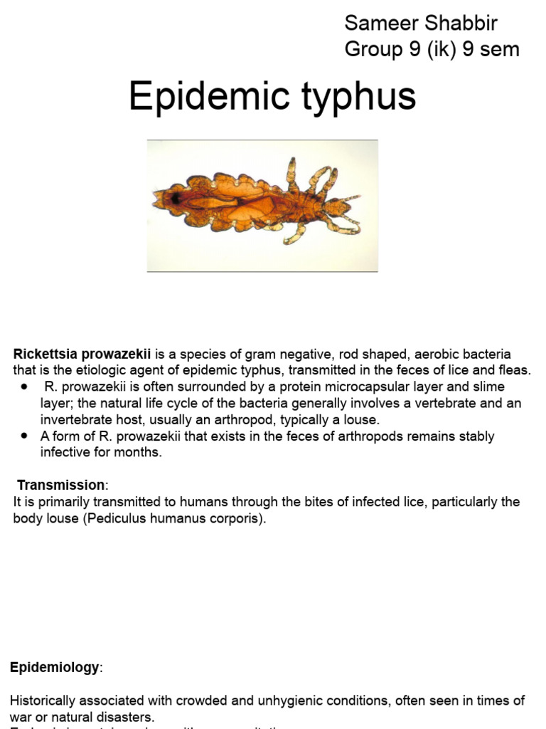 Epidemic Typhus Sameer | PDF | Diseases And Disorders | Clinical Medicine
