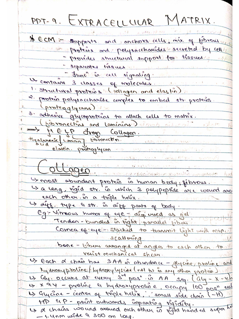 Biochem PPT 9 Notes | PDF