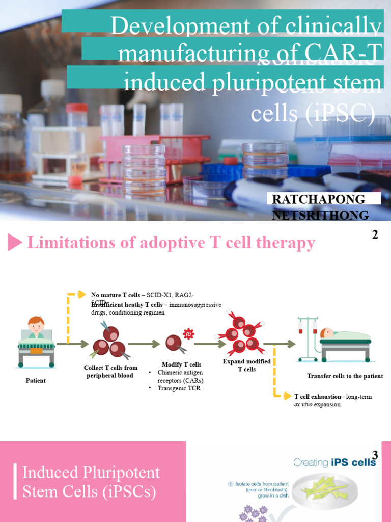 Lab Progress | PDF | Hematopoietic Stem Cell | Stem Cell