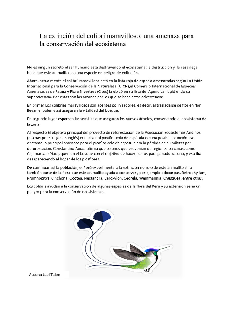 Colibri Maravilloso | PDF