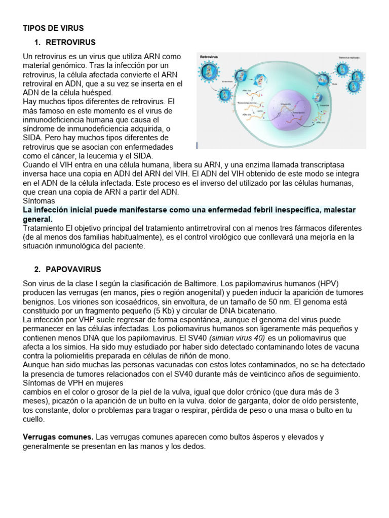 Tipos de Virus | PDF | Retrovirus | Virus