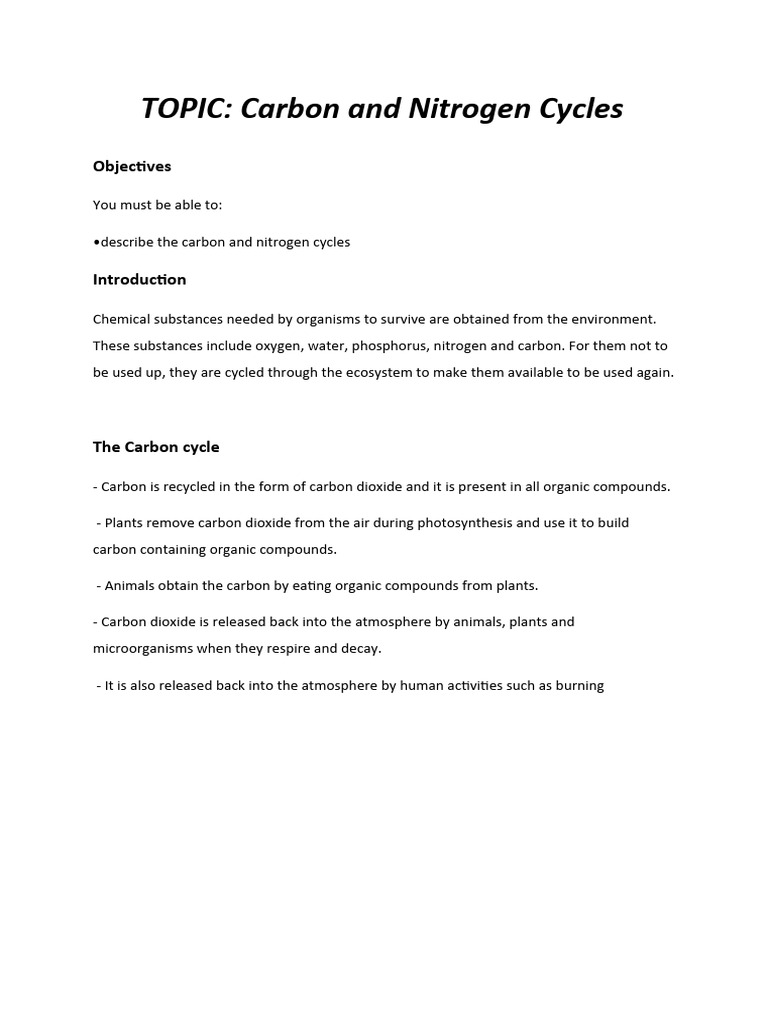 Carbon & Nitrogen Cycles Explained | PDF | Nitrogen | Ecosystem
